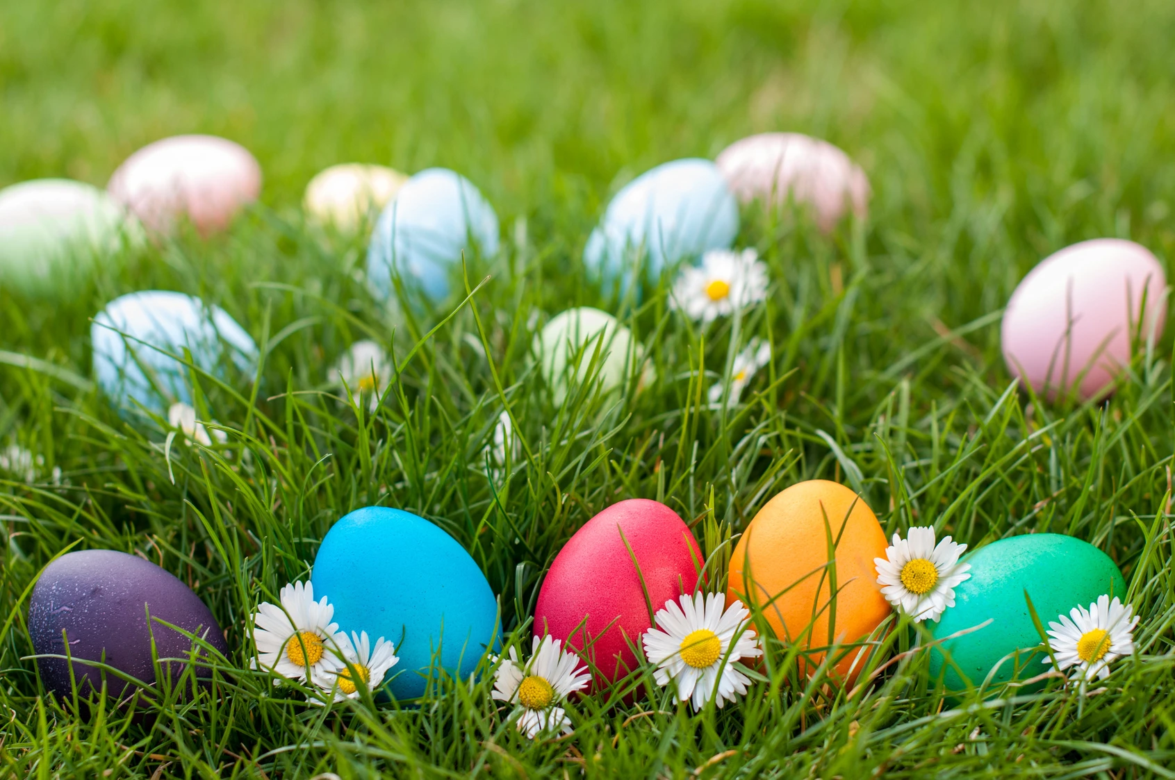 Annual easter egg hunt store